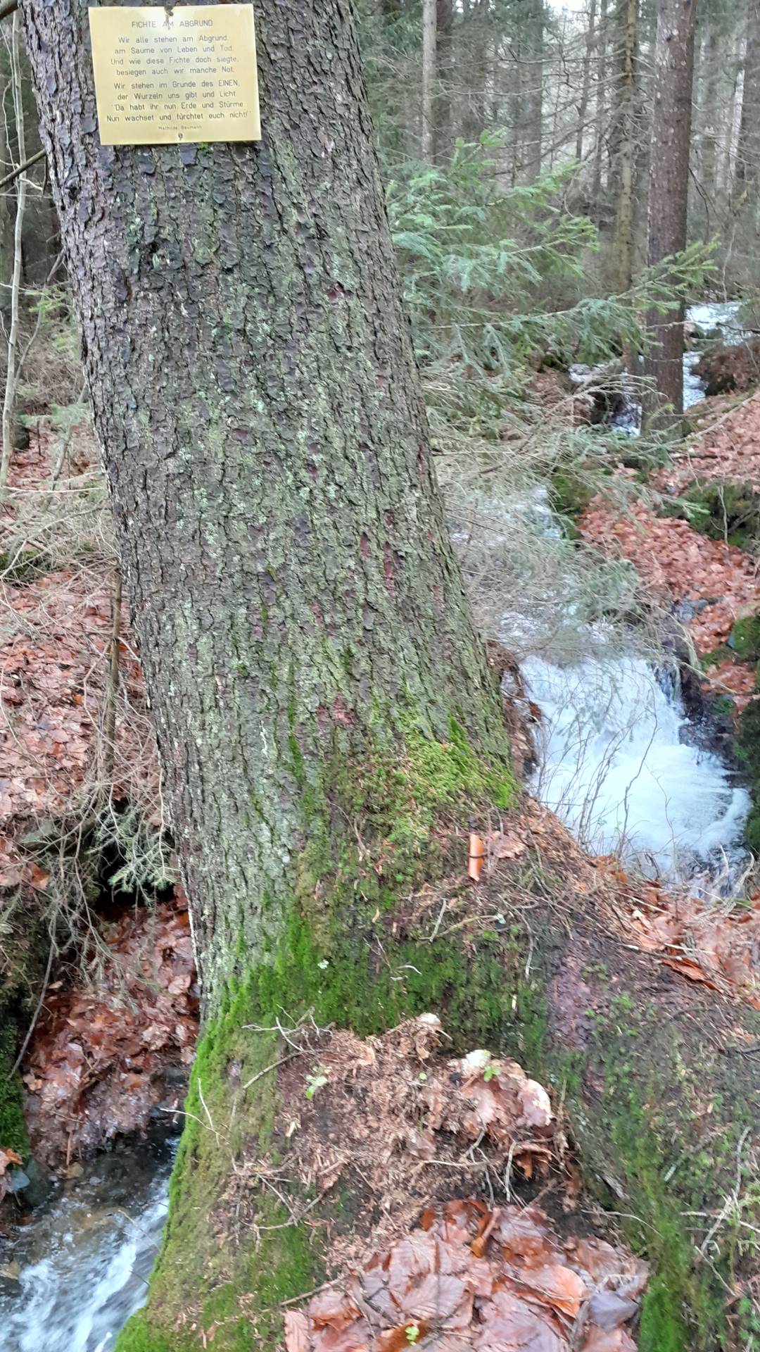 Pilger Rudi Simeth: Im Außen und Innen gut gerüstet – und fest ...