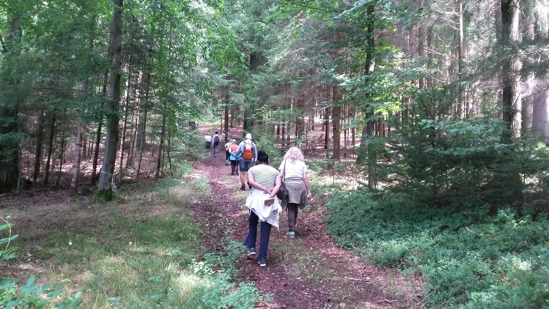 Der Herr ist mein Hirte – geführte Pilgerwanderung am Wolfgangsweg ...